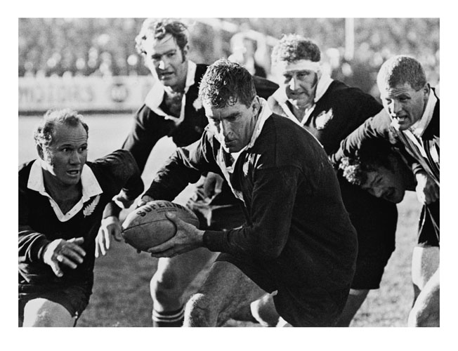 Hard on the Heels | Exhibition Services